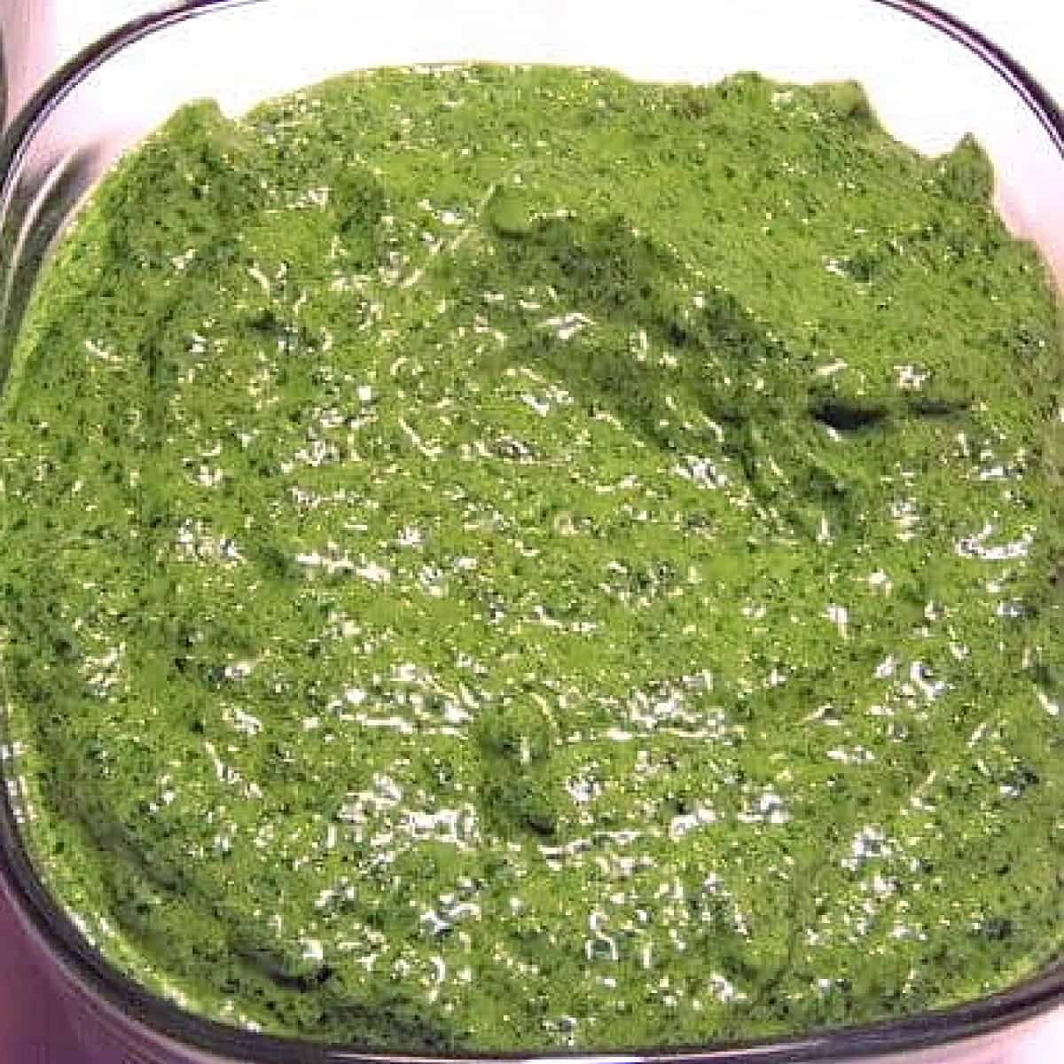 Cilantro Pesto Recipe - Kudos Kitchen by Renee