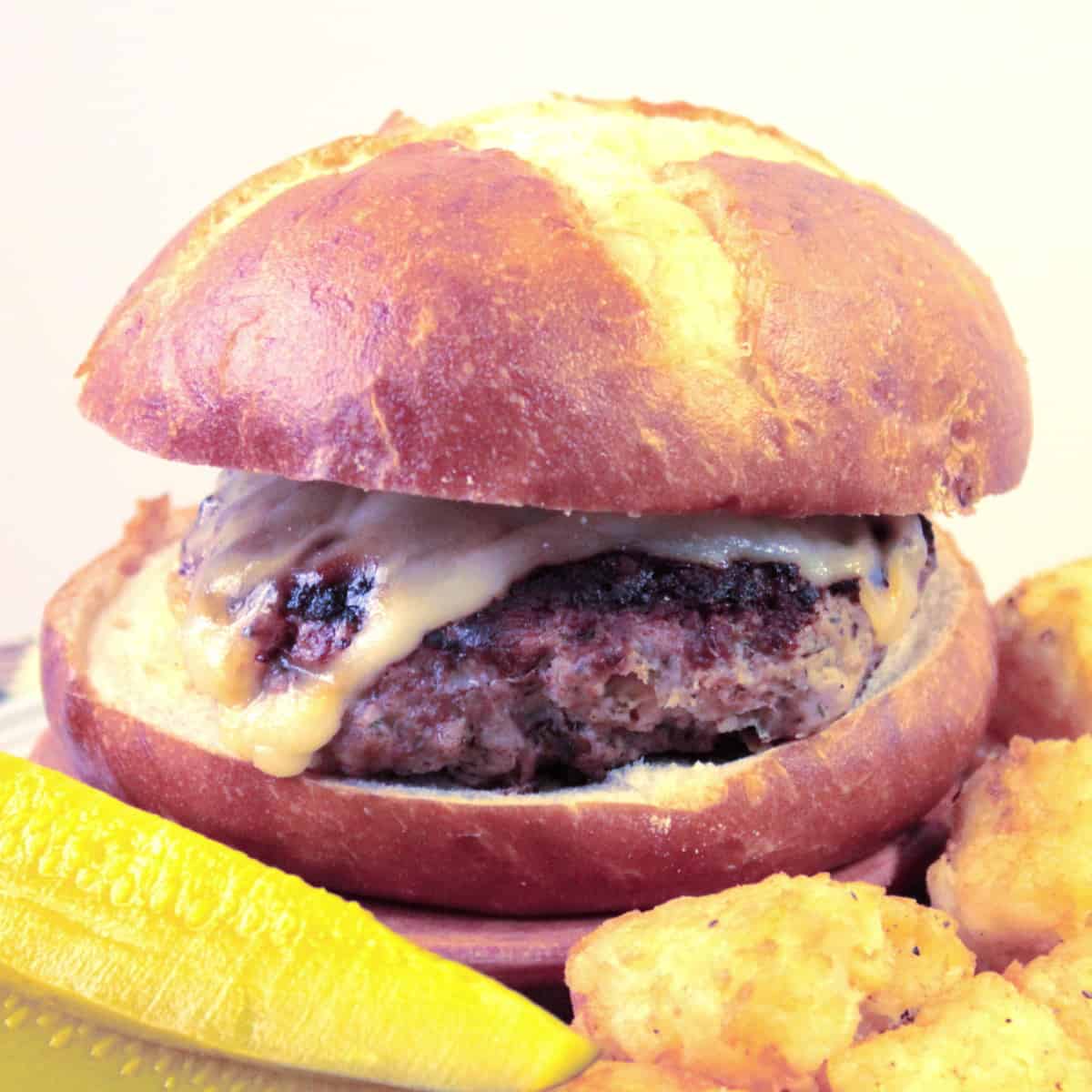 Dilly Swiss Cheese Burger Recipe - Kudos Kitchen by Renee