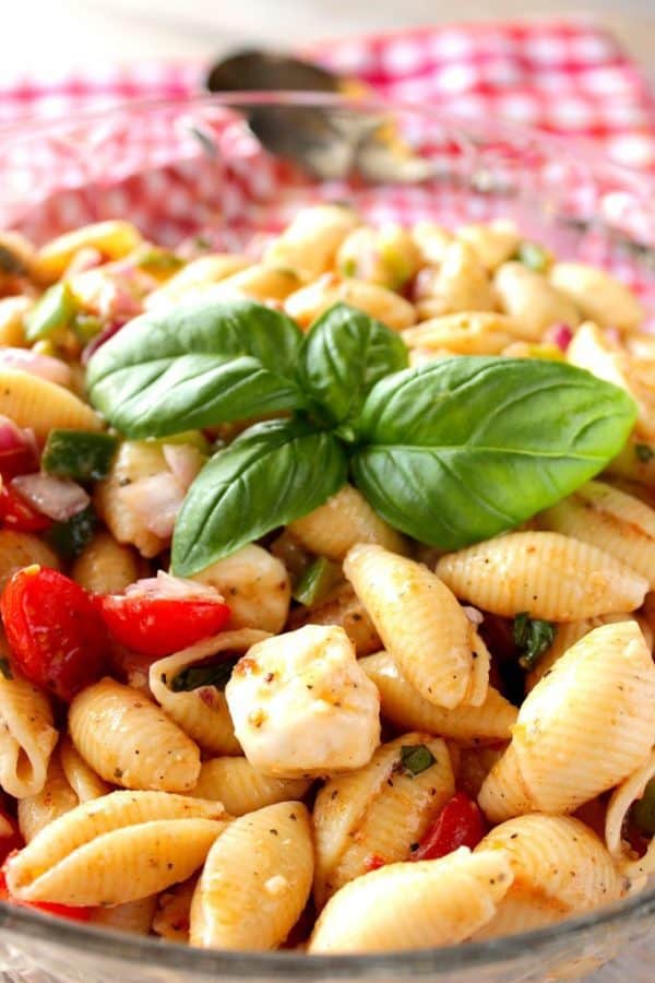 Italian Shell Pasta Salad - Kudos Kitchen by Renee