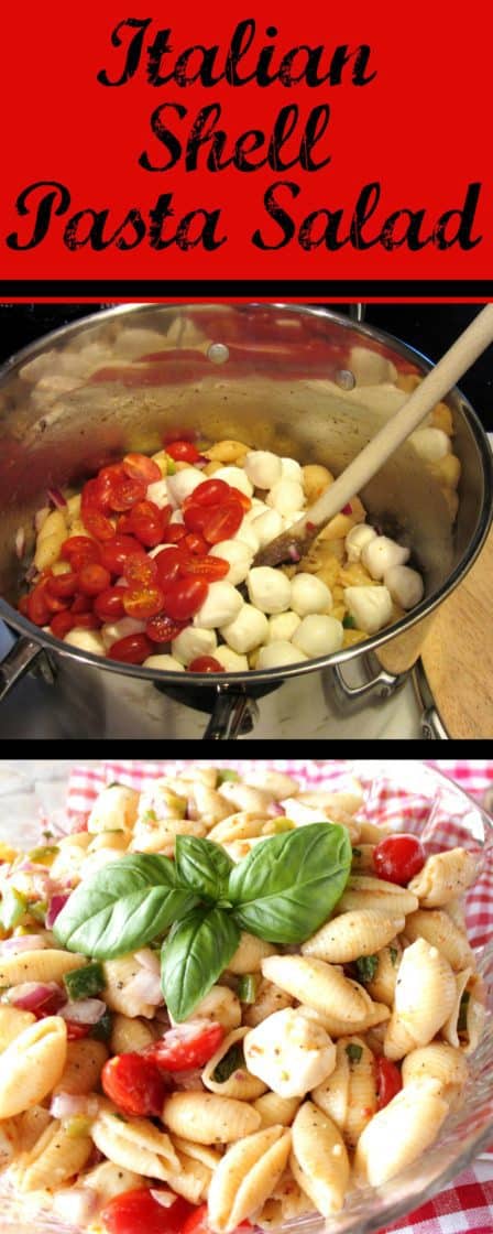 Italian Shell Pasta Salad - Kudos Kitchen by Renee