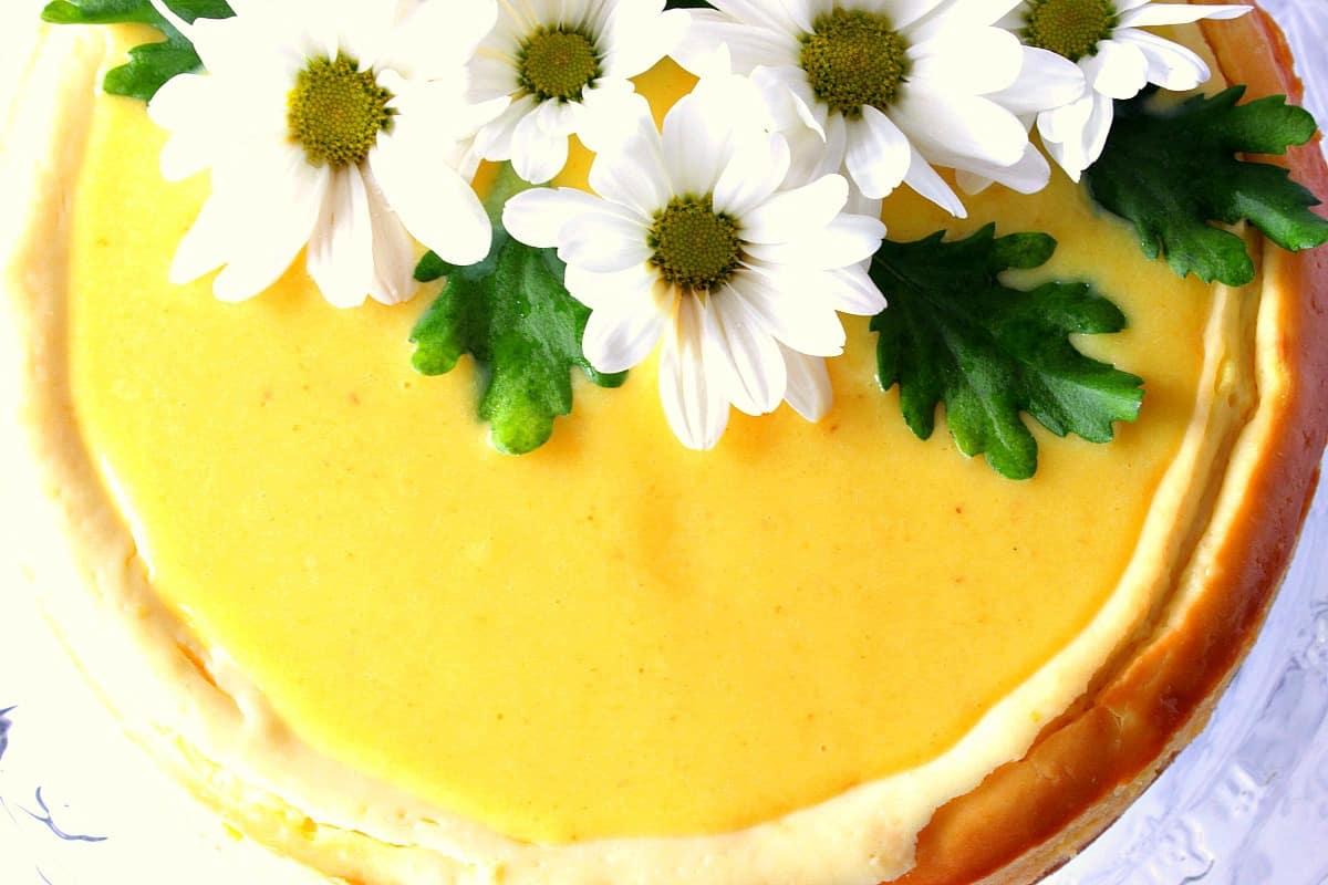 Lemon Drop Cheesecake with Lemon Curd Topping Recipe - Kudos Kitchen