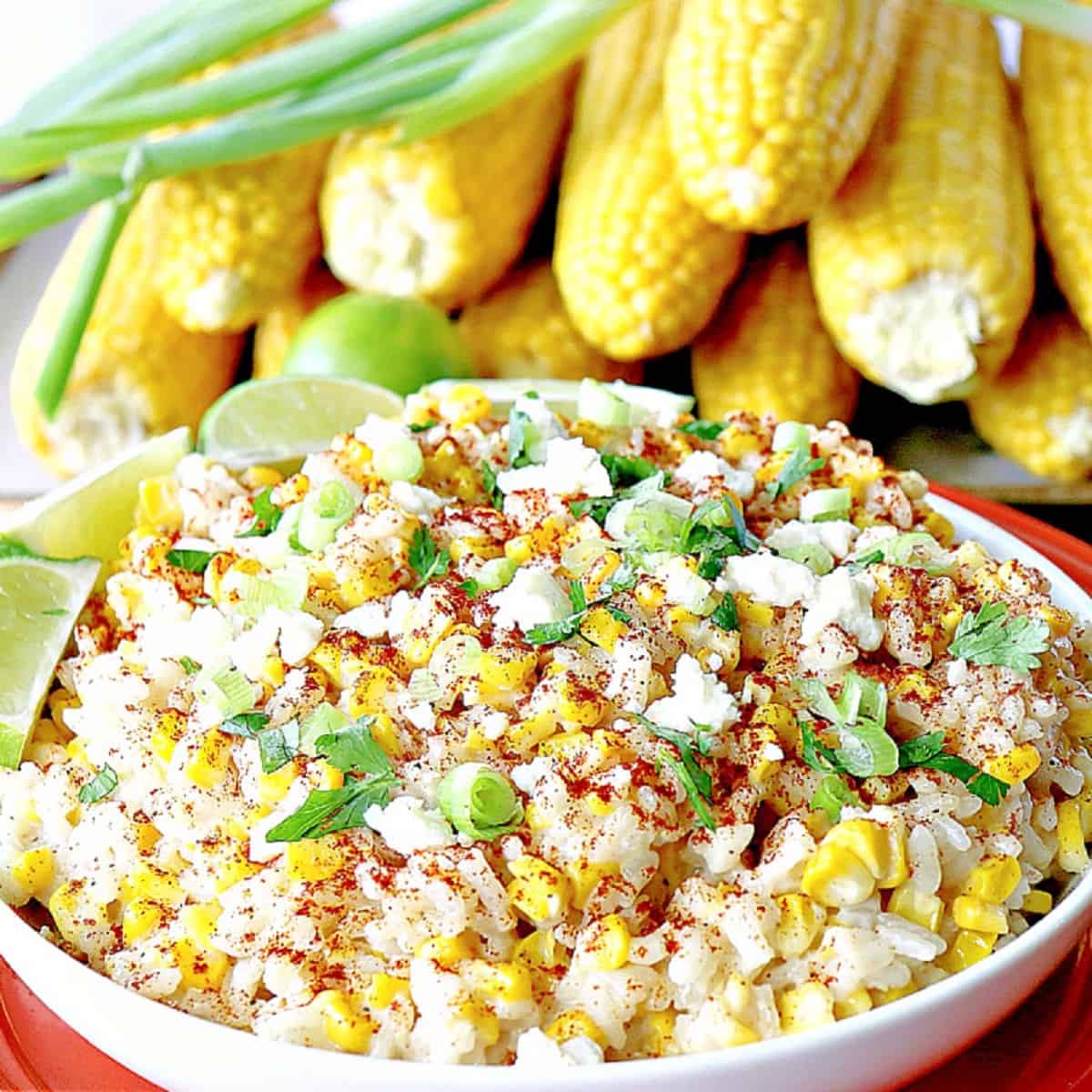 Easy and Delicious Comfort Food Recipes - Kudos Kitchen by Renee