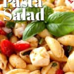 Make-Ahead Italian Shell Pasta Salad with Fresh Mozzarella Recipe