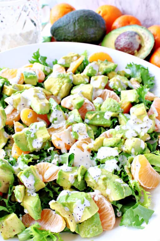 Avocado Orange Salad Recipe - Kudos Kitchen by Renee Retro Recipes