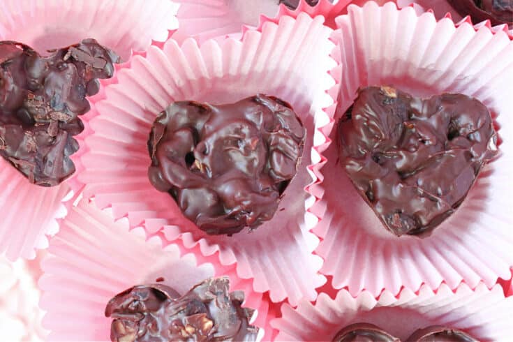 Chocolate Covered Dried Cherry Candy - Kudos Kitchen by Renee
