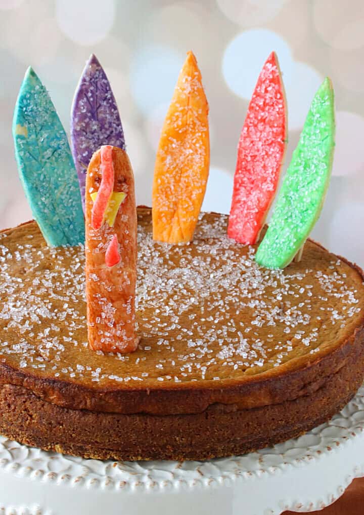 3D Springform Pan Turkey Pumpkin Pie - Kudos Kitchen by Renee